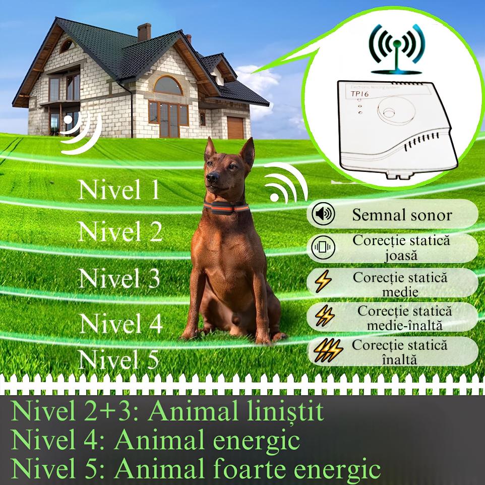 Zgarda electrica cu gard invizibil de delimitare ( gard radioelectric ...